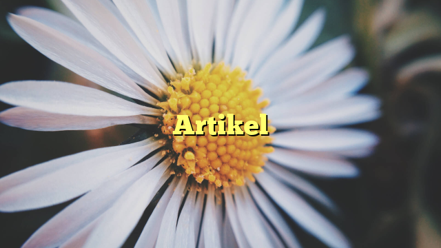 Artikel - Pijat Panggilan Bali